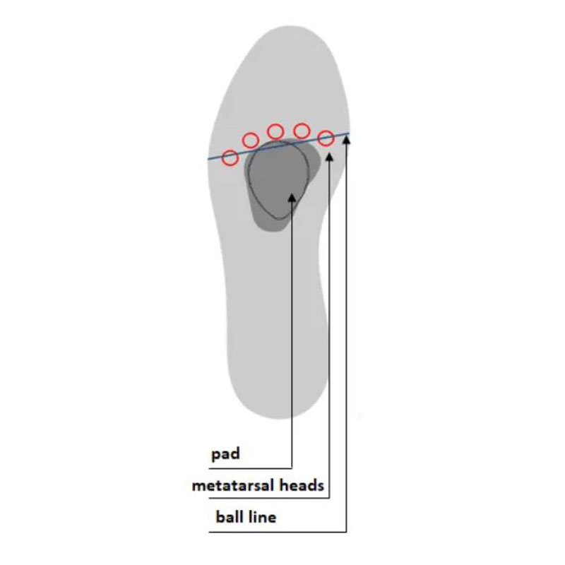 Metatarsal Pads - ShoeInsoles.co.uk